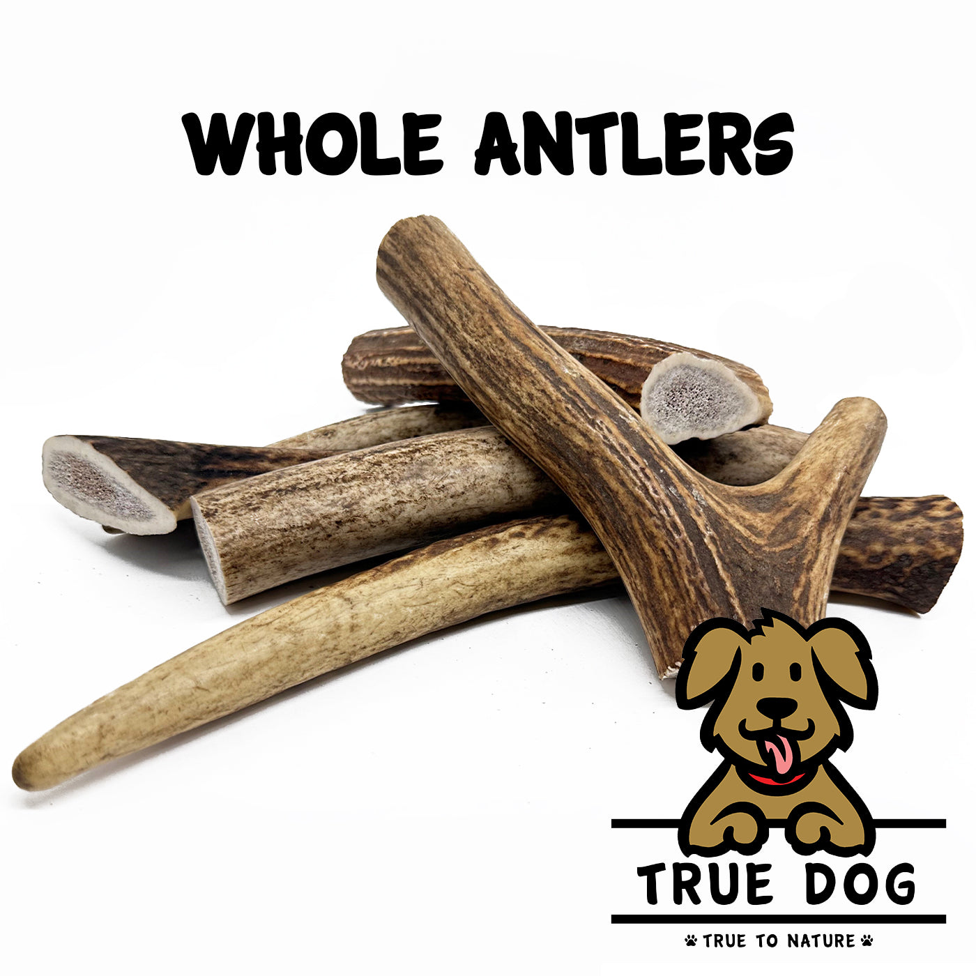 Red Deer Antler Treats for Dogs- 100% Natural Whole Antlers – True Dog UK