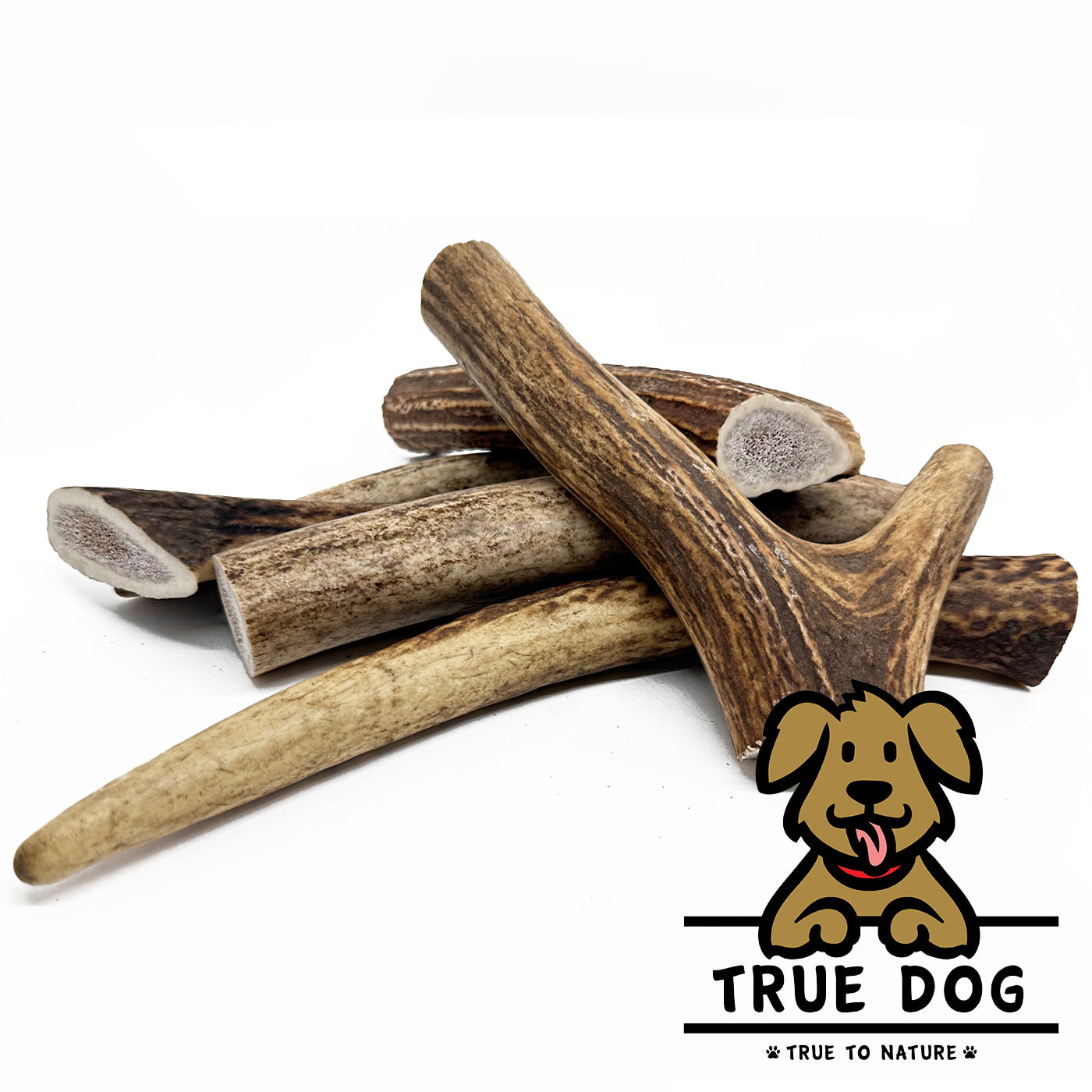 Quality Canine Care with Premium Products for your Pet | True Dog ...