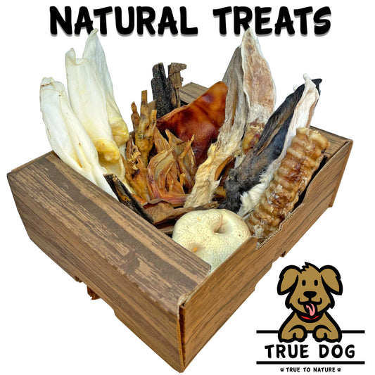 True Dog Salmon Oil | Premium Salmon Oil for Dogs | True Dog UK
